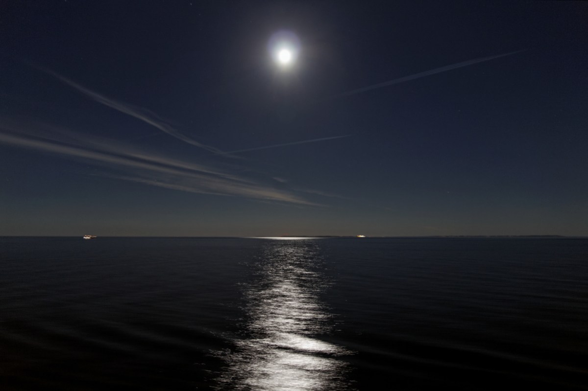 Sailing with Svalen – Like a swallow!